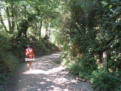 Ruta Jacobea | Vocaciones Monasterio Santa Cruz
